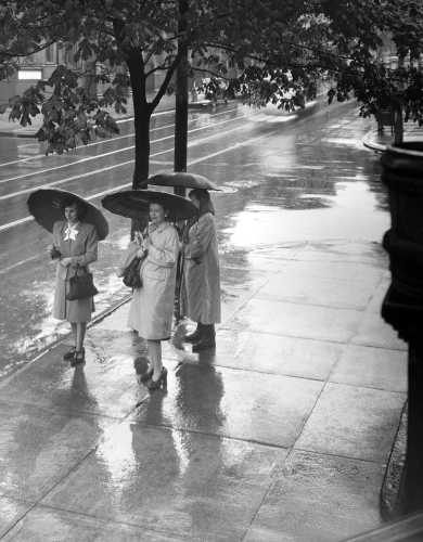Rainy Day Bus Stop – Annapolis Collection Gallery
