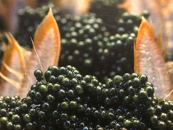 Lobster Caviar, art for the sophisticated kitchen – Annapolis ...