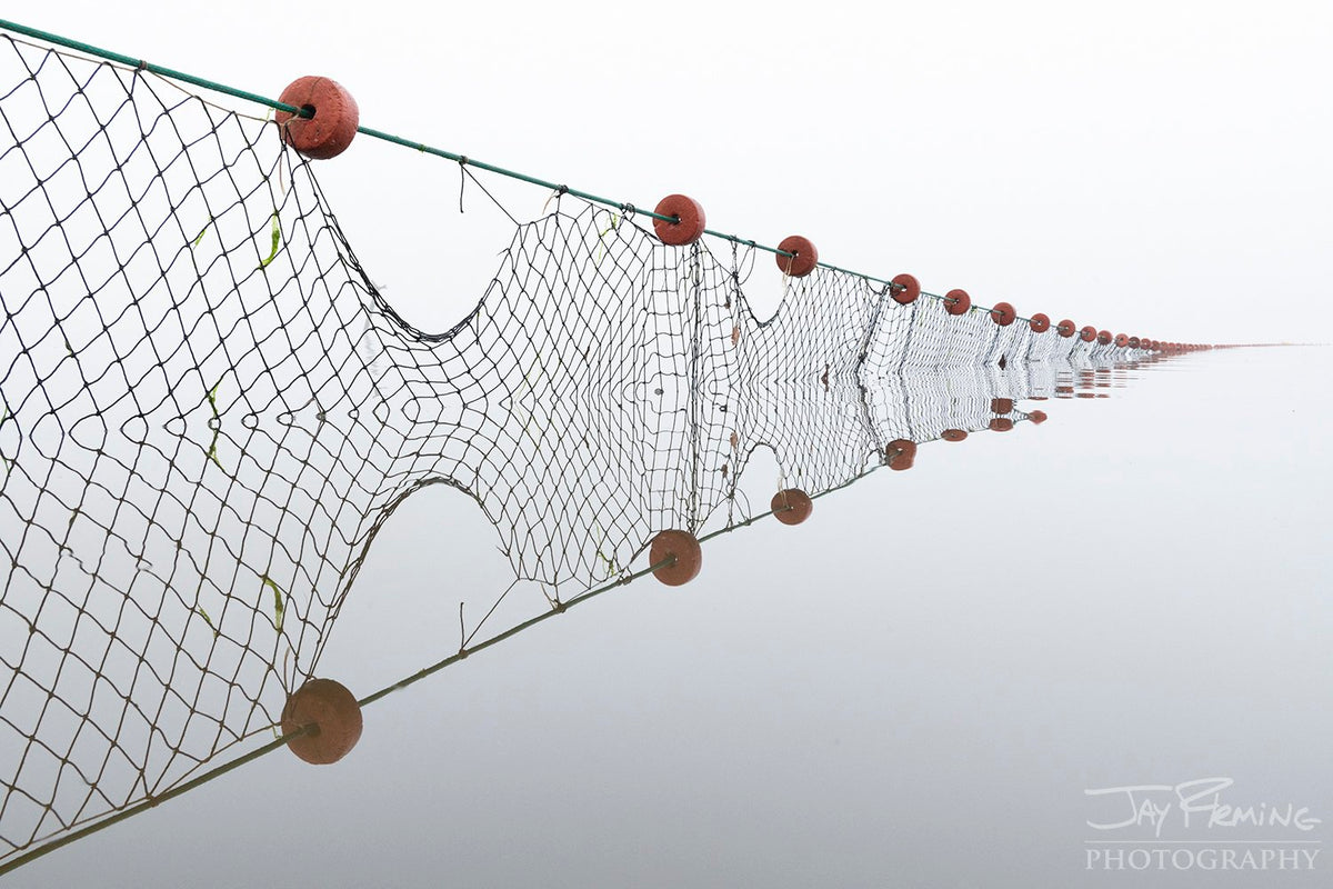 Haul Seine Reflections – Annapolis Collection Gallery